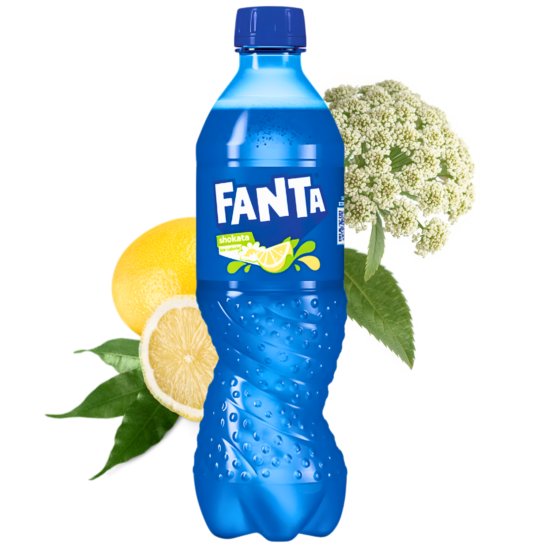 FANTA, Shokata, 500ml, PET, Holunderblüte, Zitrone, Softdrink - Grab&Go ...