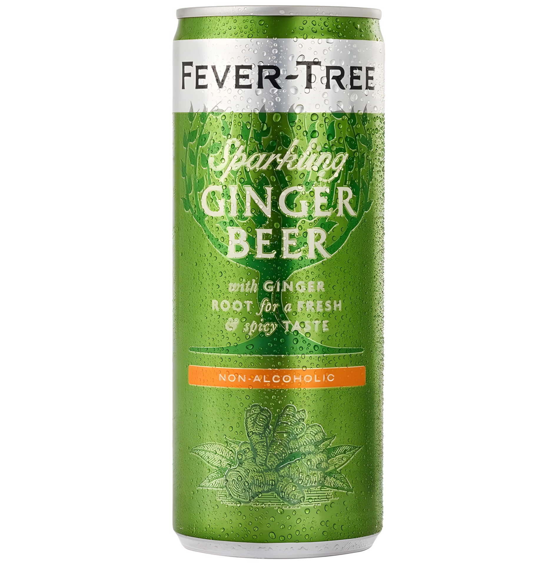 FEVER-TREE - Sparkling Ginger Beer 250ml - Grab&Go Luzern